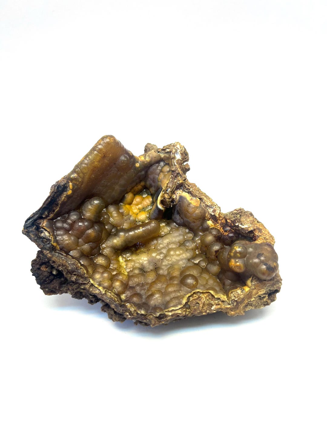 Florida--amber Botryoidal Towers on Coral Geode (fossil) W/ Fiery ...