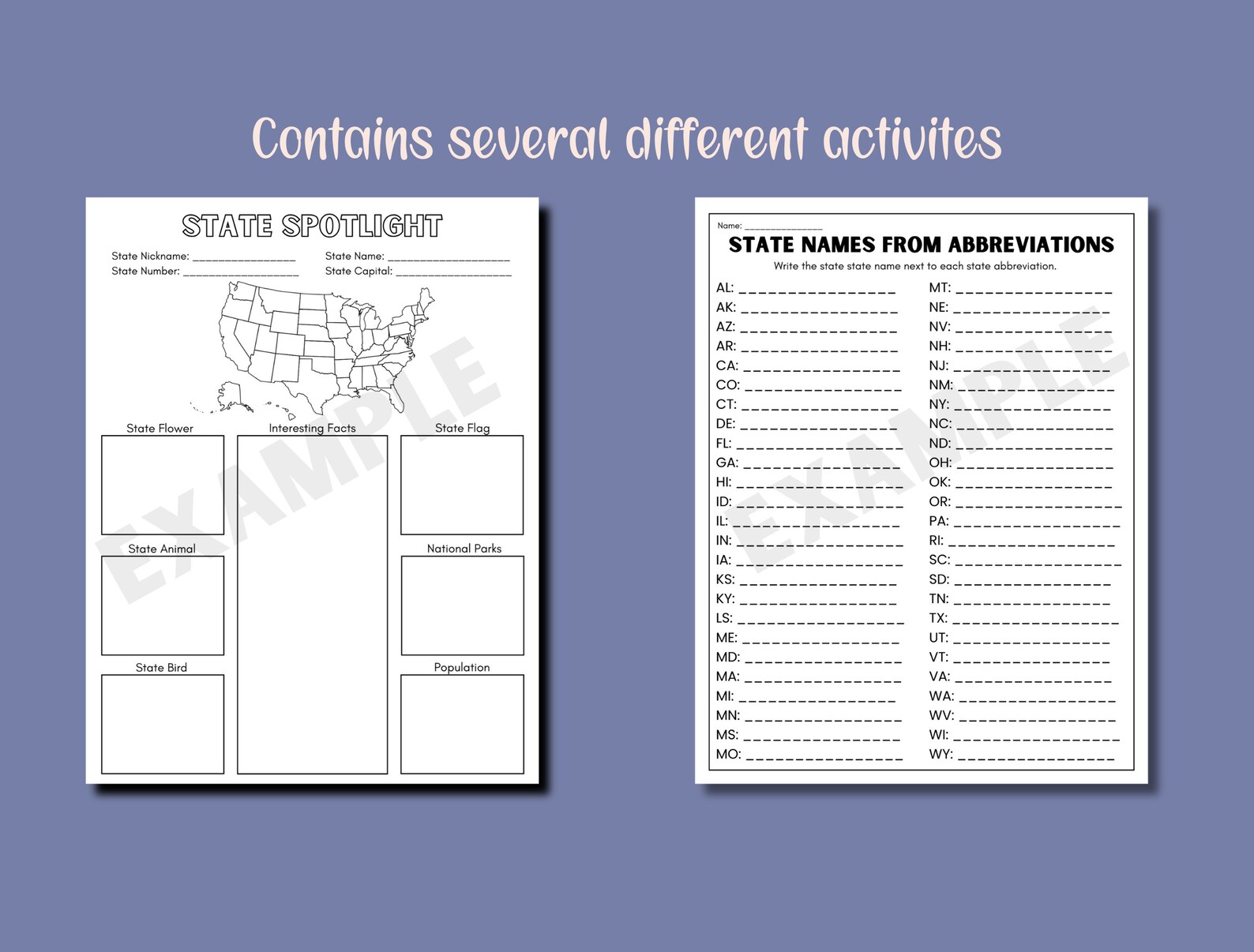 50 States Workbook, Printable Activities to Learn the 50 States ...
