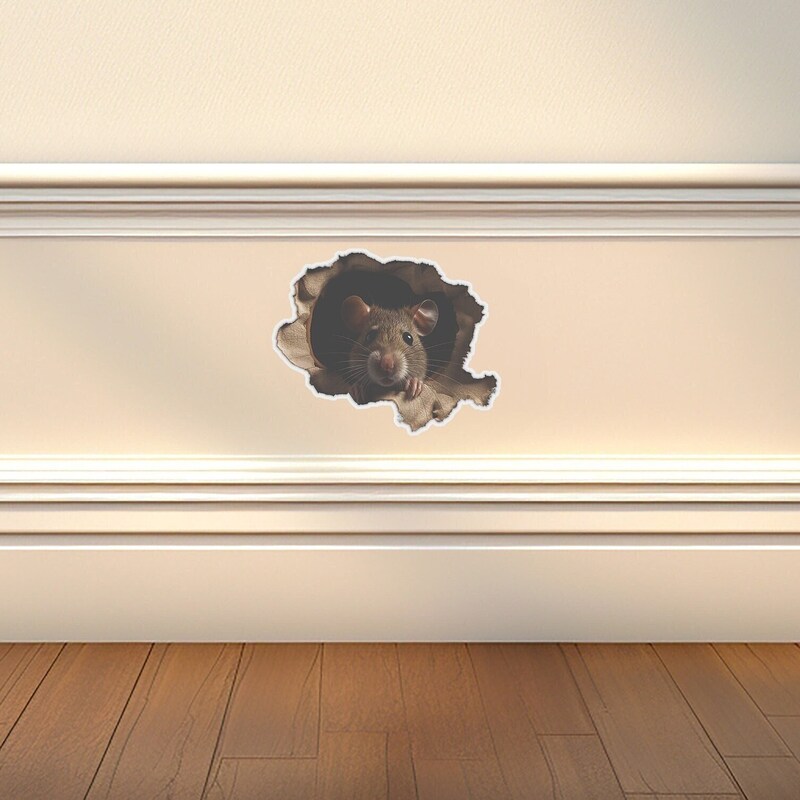 Mouse Hole Wall Decal - Etsy