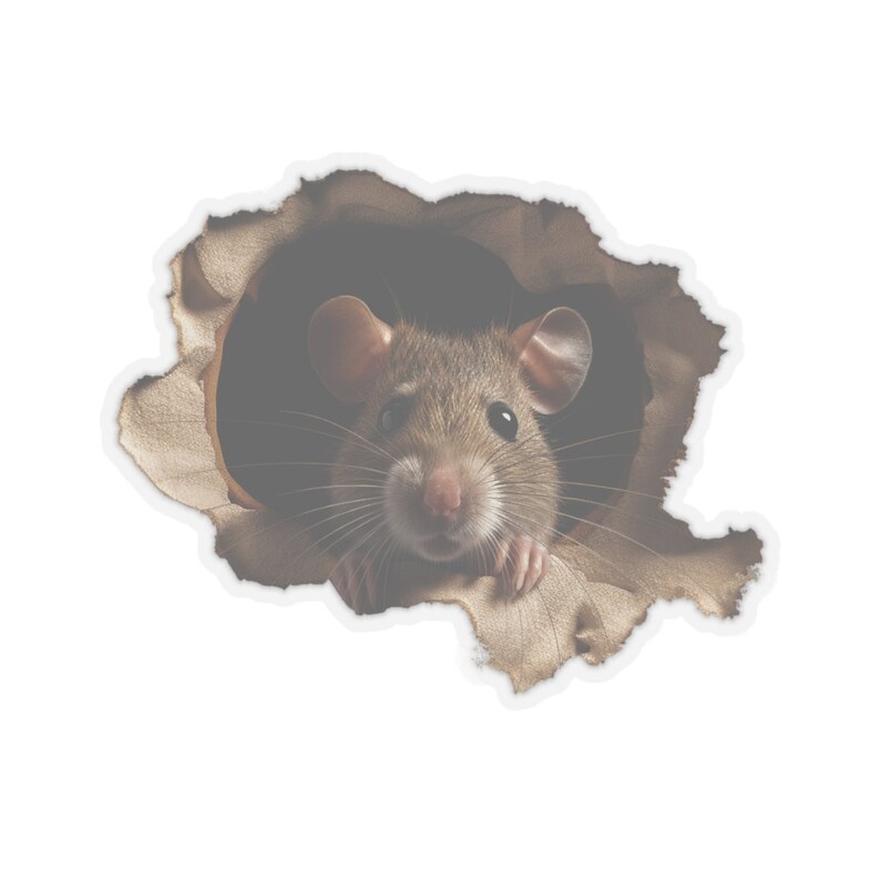 Mouse Hole Wall Decal, Sticker Mouse Hole, 3D Mouse Hole Sticker, Cute ...
