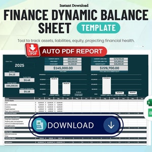 Financial Balance Sheet Dashboard Excel Template With Auto PDF Report ...
