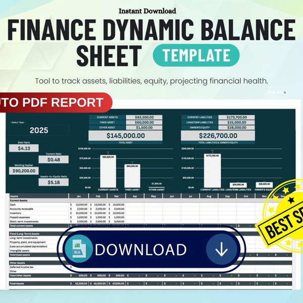 Balance Sheet Excel Dashboard - Etsy