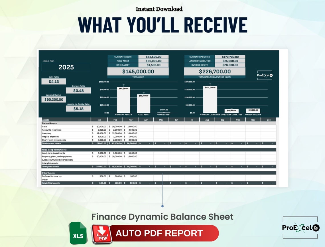 Financial Balance Sheet Dashboard Excel Template With Auto PDF Report ...