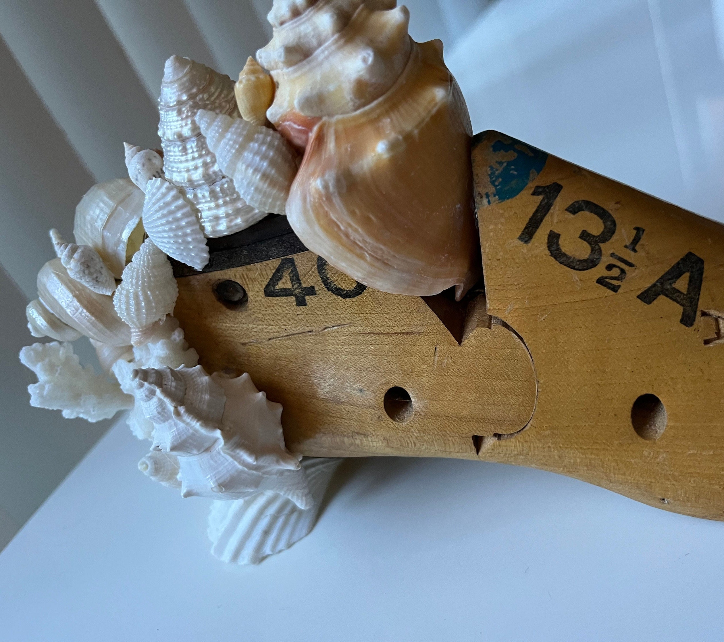 Mermaid Mini Me Seashell Heel Vintage Shoe Last Flat - Etsy