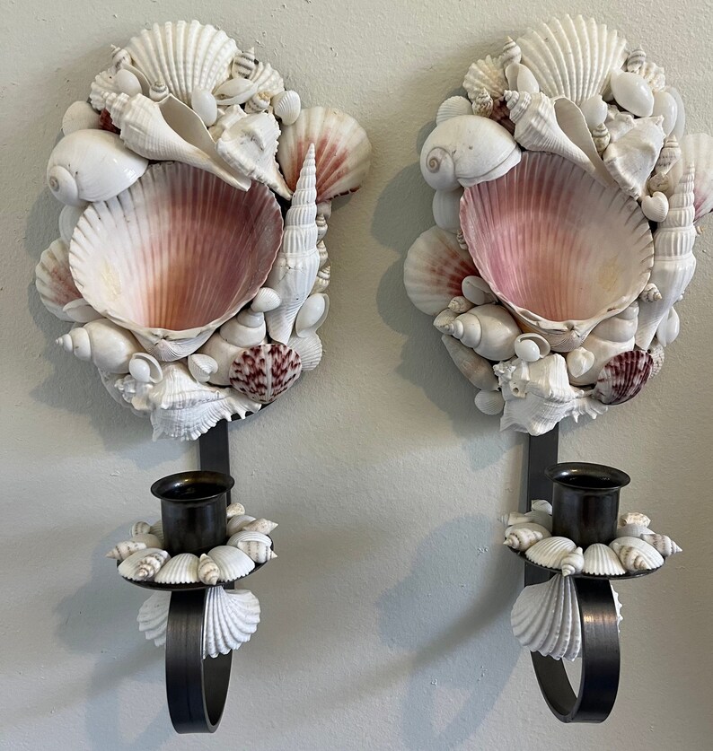 Blush Pink Seashell Decorated Sconces - Etsy