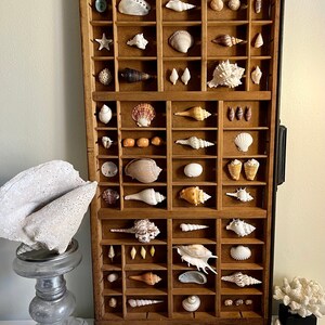 Printers Tray - Etsy