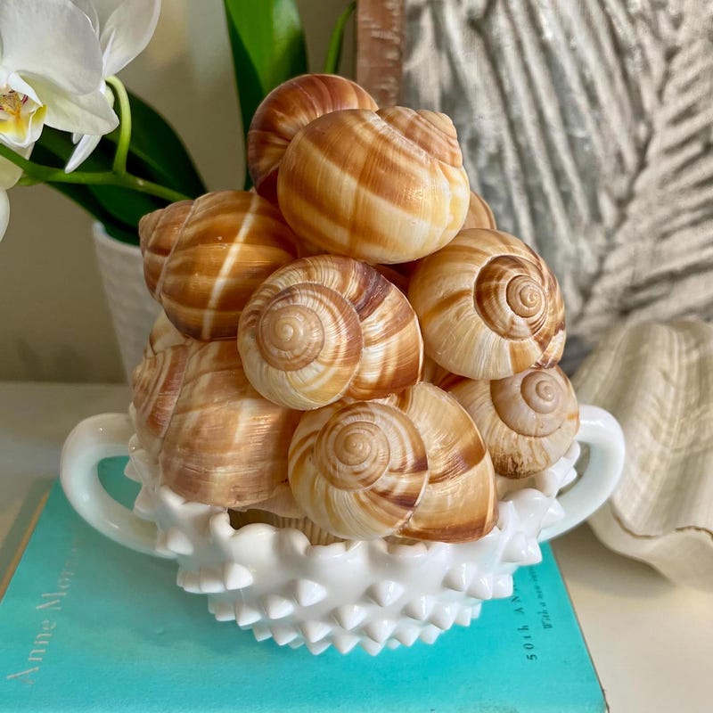 BungalowBeachSisters - Etsy