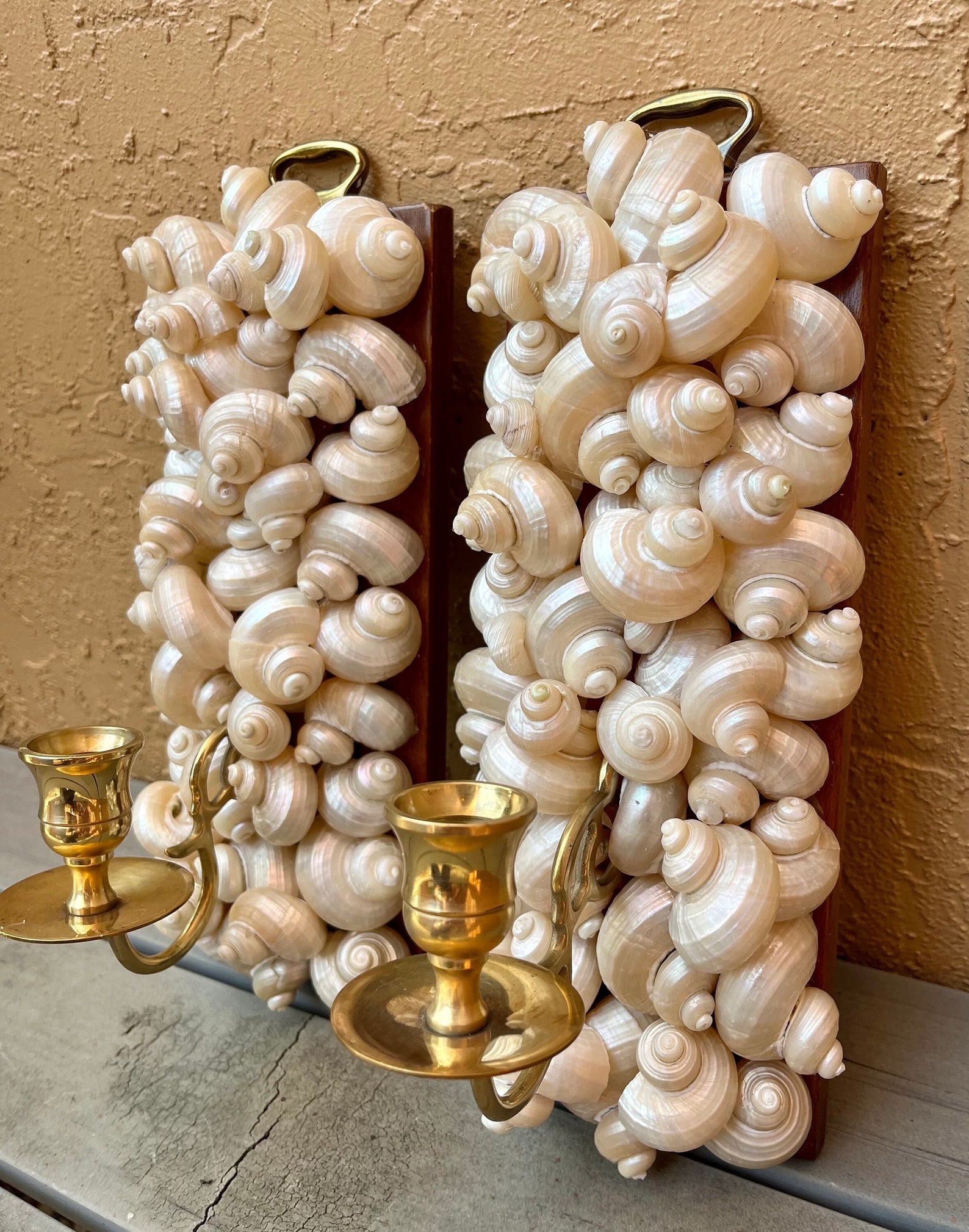 Turbot Seashell Swirled Pair of Candle Sconces Beach House Decor Costal ...