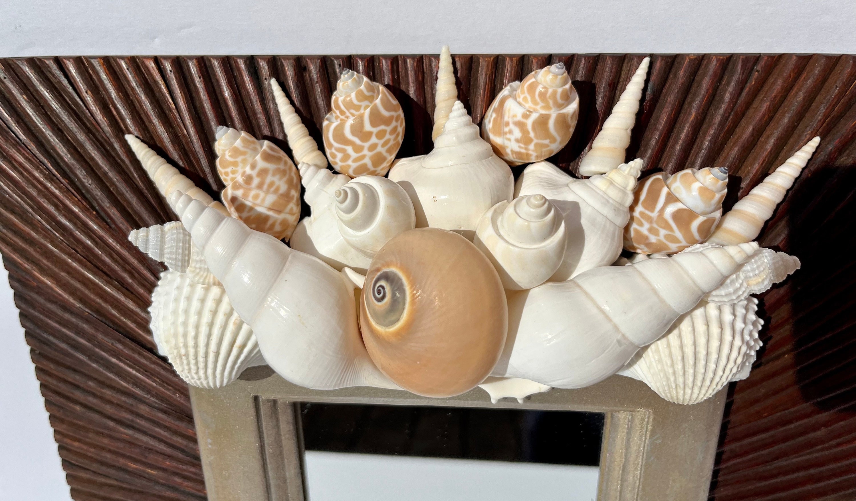 Mahogany Bronze Square Seashell Crown Mirror - Etsy