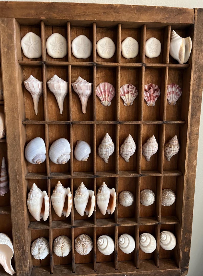 Vintage Printers Tray Horizontal Lavendar Lilacs Seashell Collection ...
