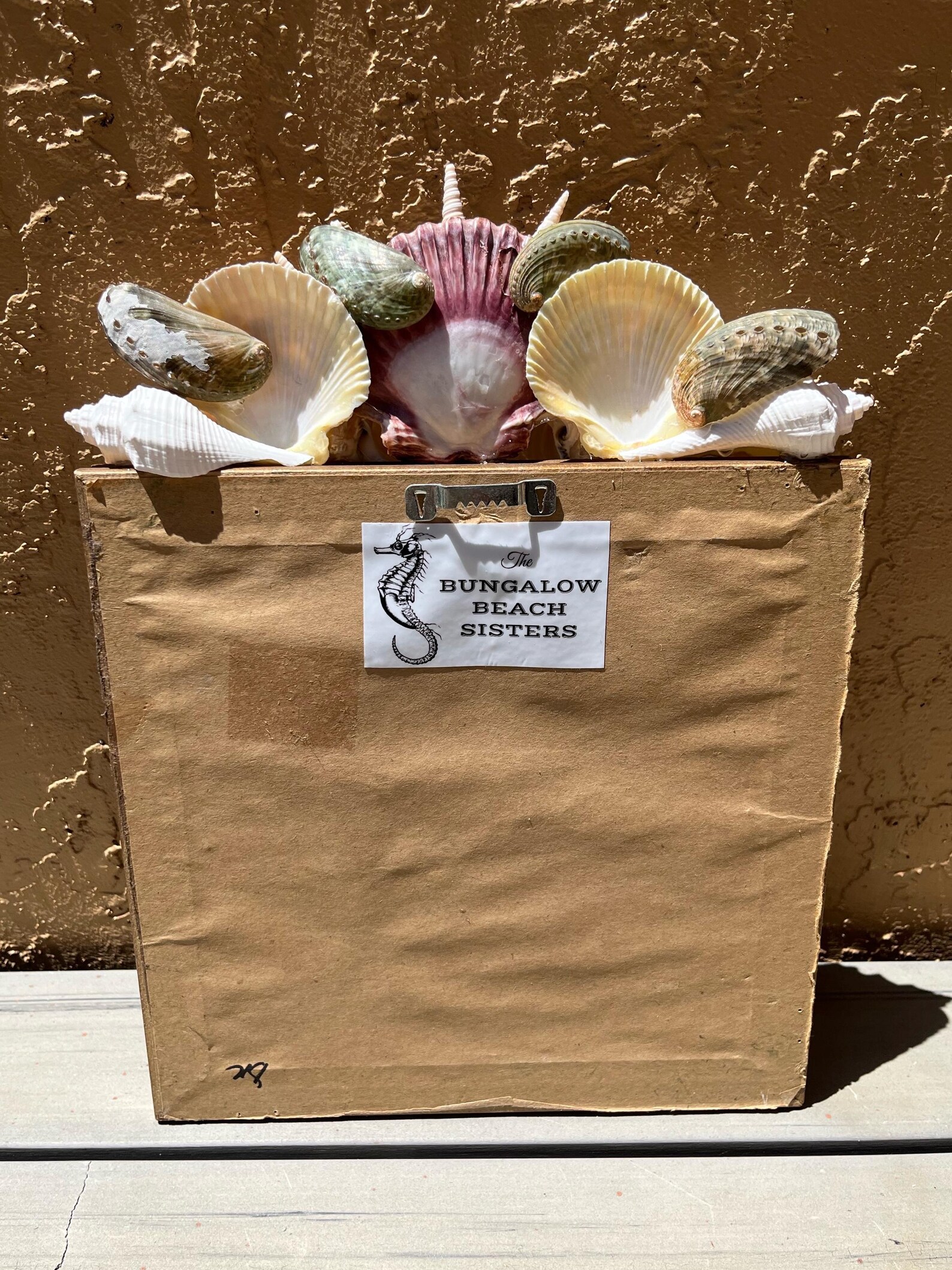 Gold Ornate Seashell Delfina Crown Square Beveled Mirror - Etsy