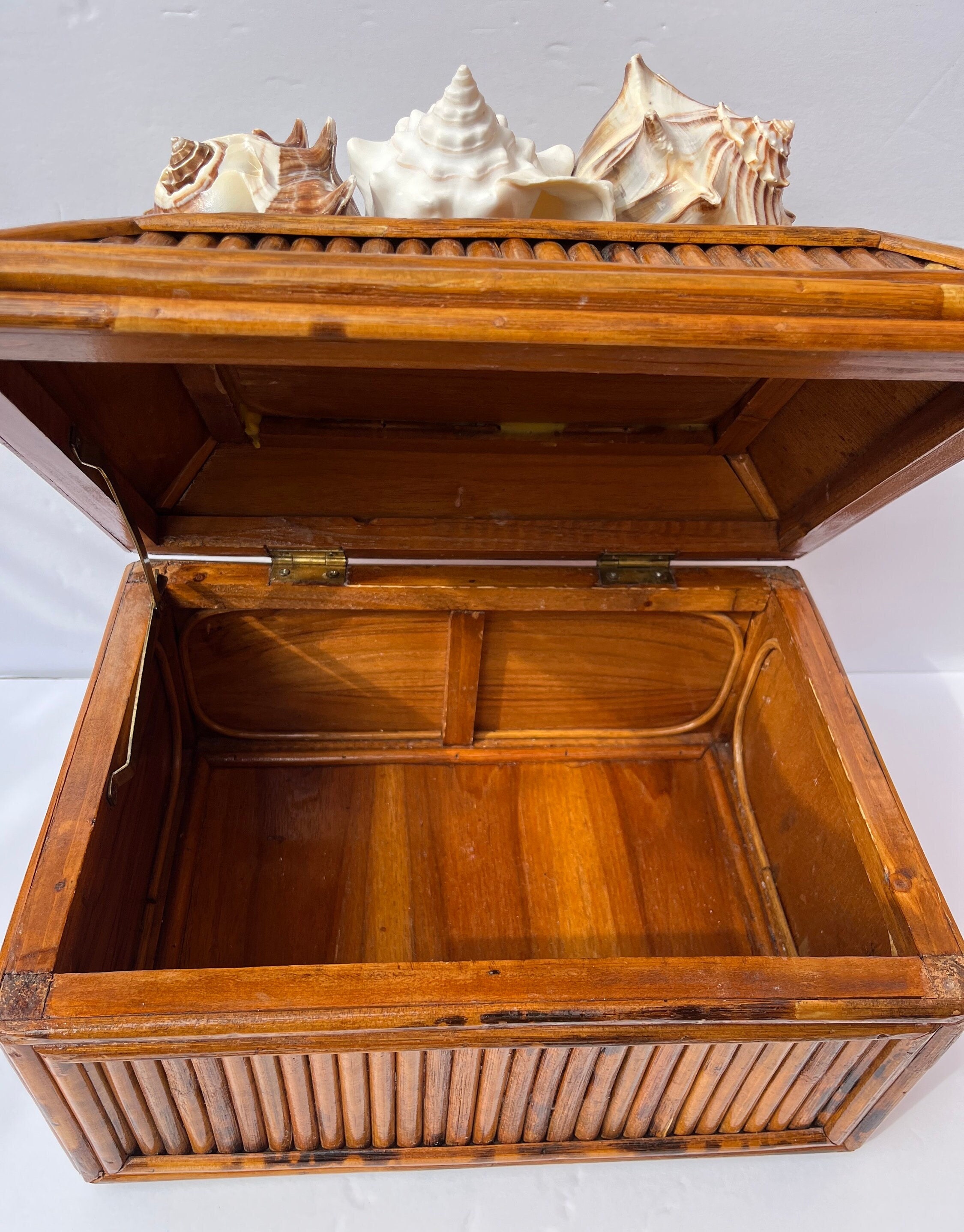 Conch Seashell Embellished Cane Bamboo Box Centerpiece Tropical ...
