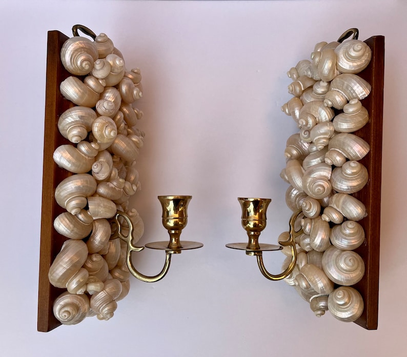 Turbot Seashell Swirled Pair of Candle Sconces Beach House Decor Costal ...
