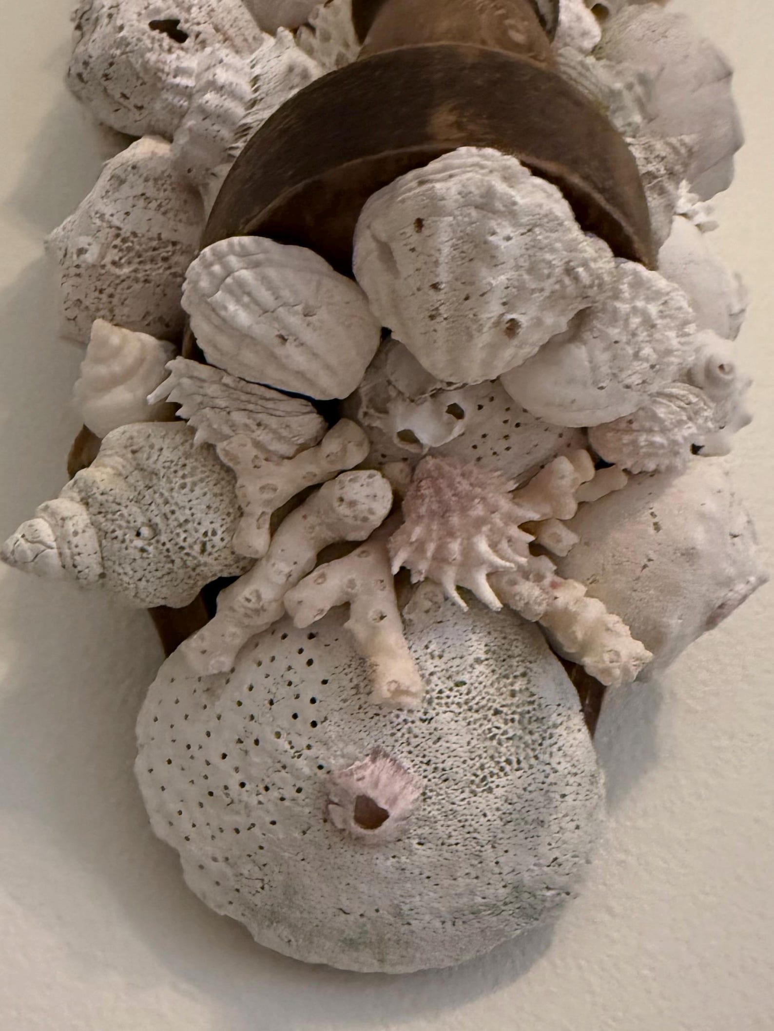 Pompeii Grotto Seashell Coral Candle Sconce Vintage Driftwood - Etsy