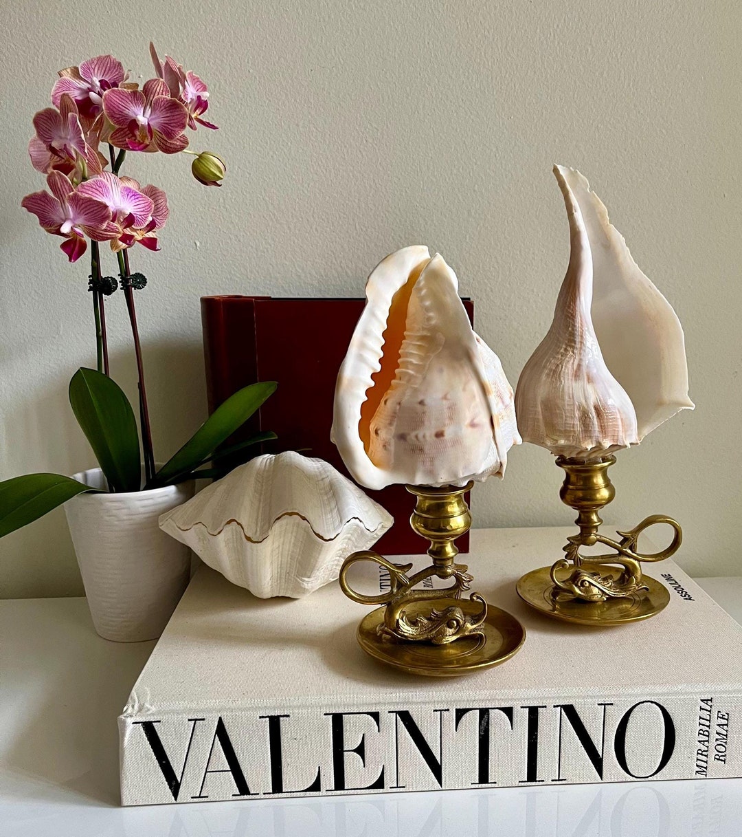 Dragon Candlestick Specimen Seashell Set Vintage Object for Display ...
