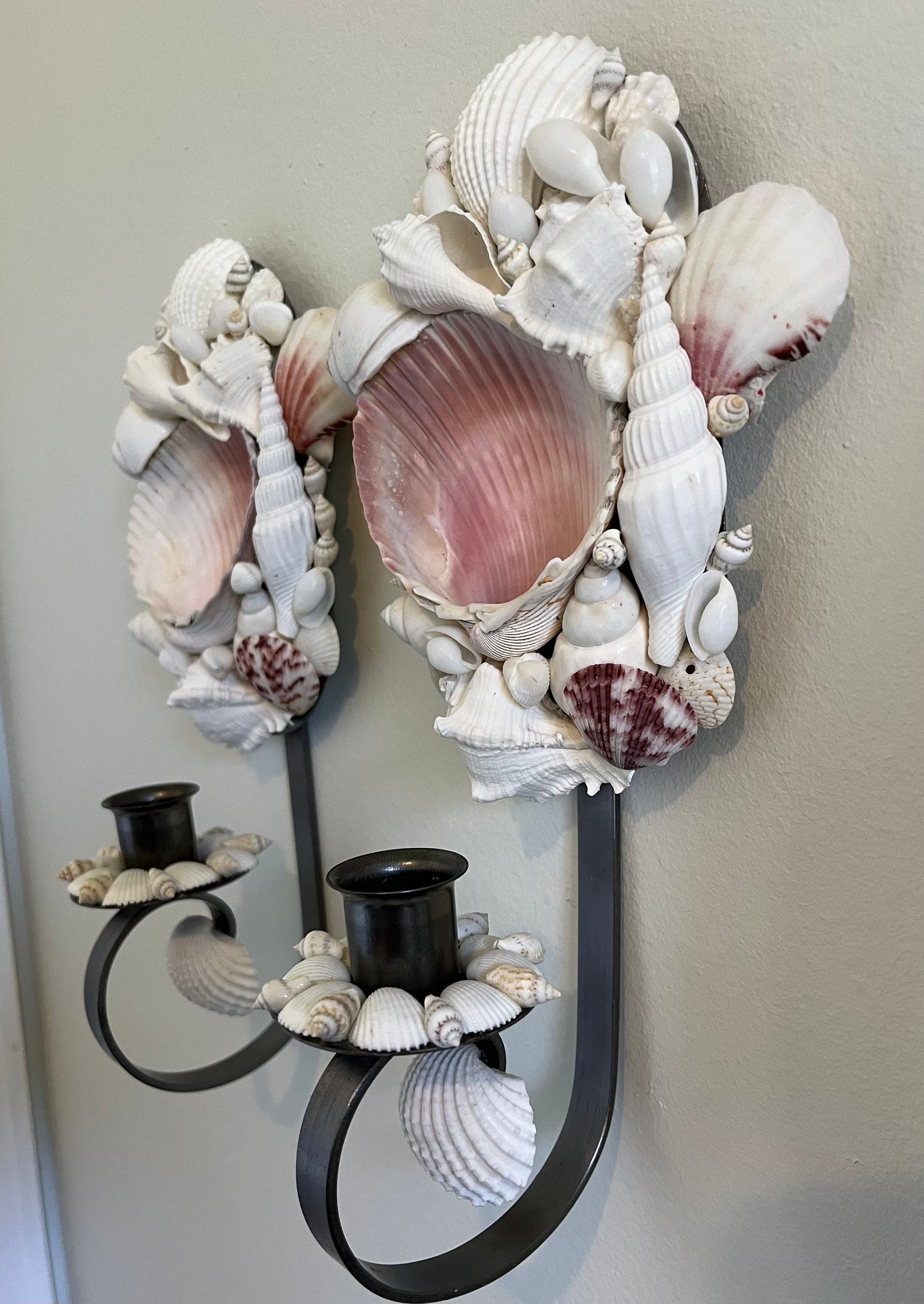 Blush Pink Seashell Decorated Sconces - Etsy