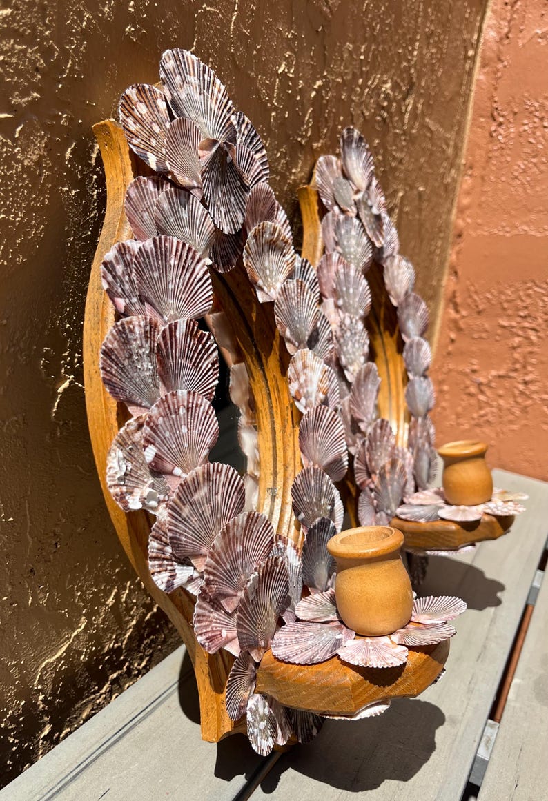 Pixie Scallop Shell Candle Sconces Pair on Vintage Wood - Etsy