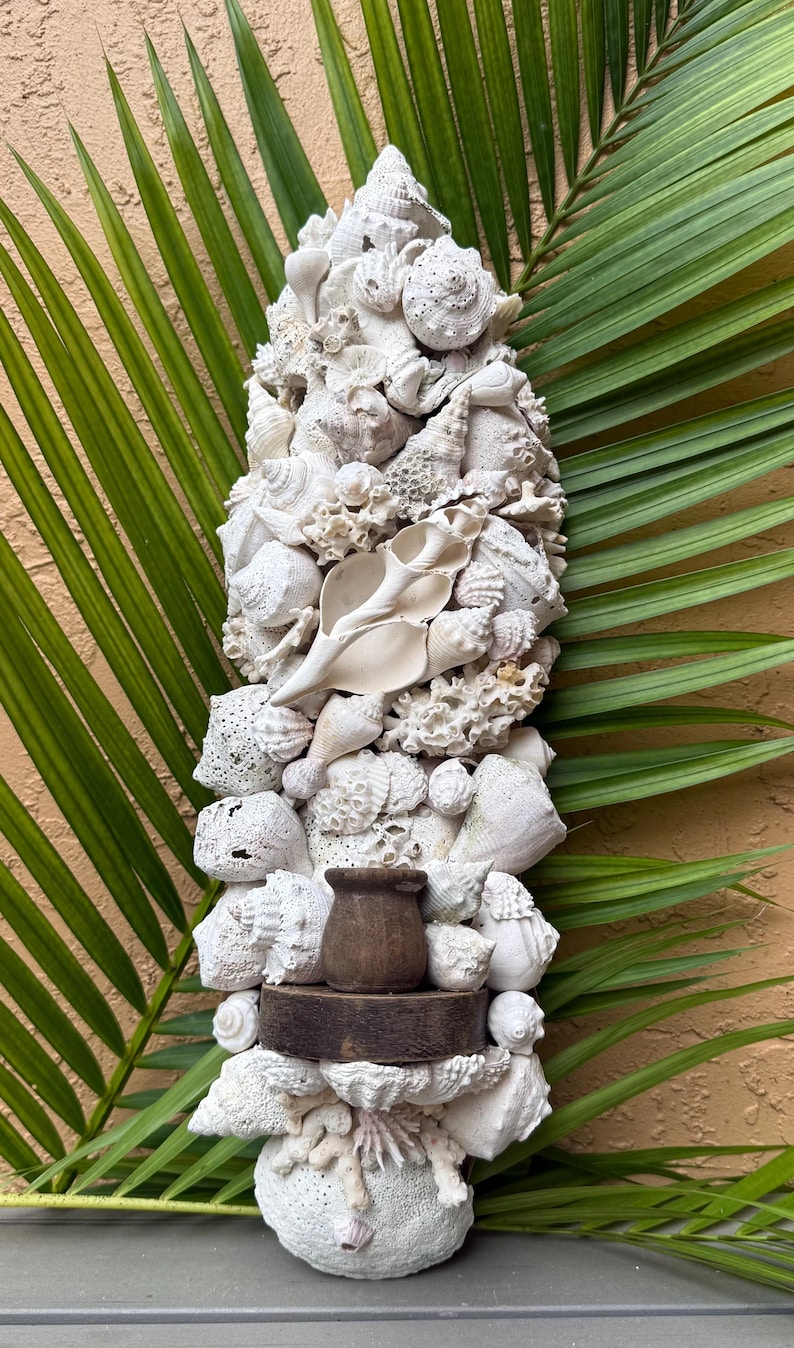 Pompeii Grotto Seashell Coral Candle Sconce Vintage Driftwood - Etsy