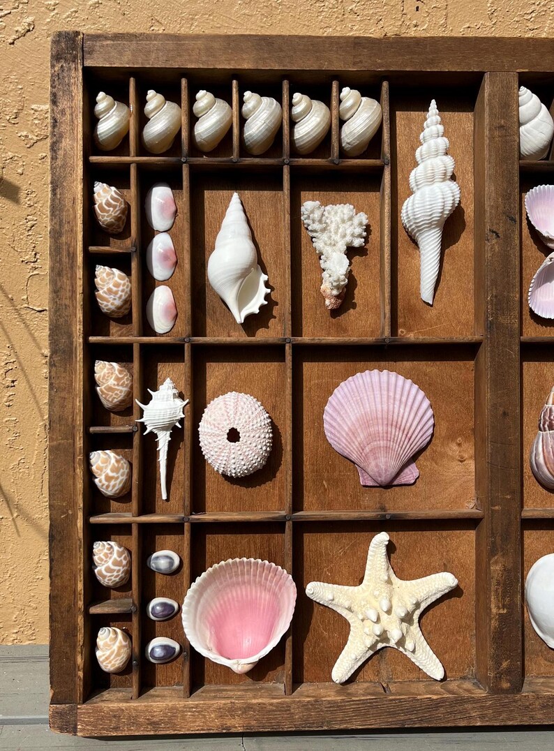 Vintage Printers Tray Horizontal Lavendar Lilacs Seashell Collection ...