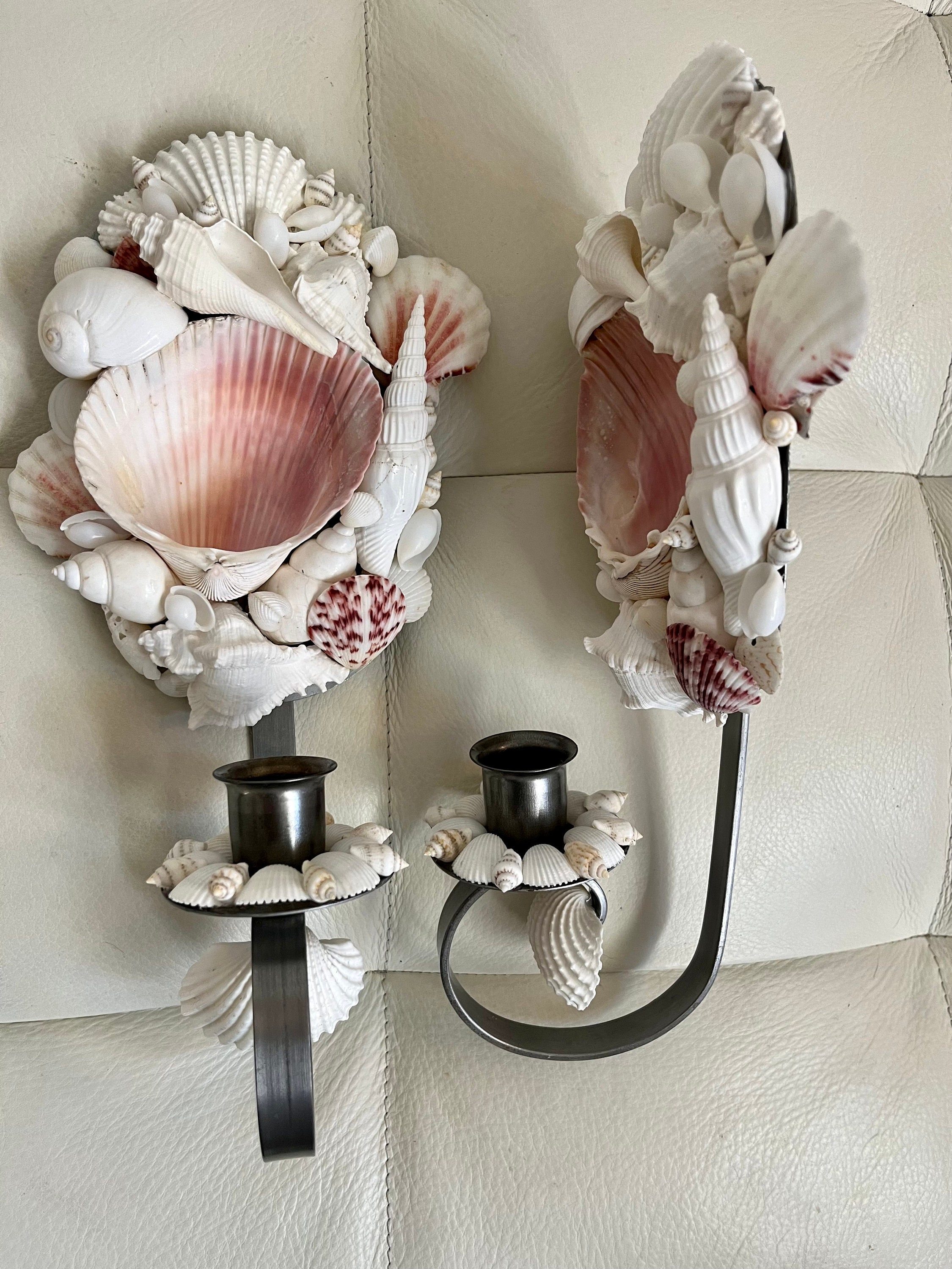 Blush Pink Seashell Decorated Sconces - Etsy