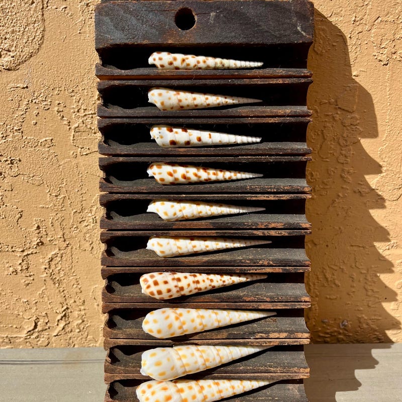 BungalowBeachSisters - Etsy