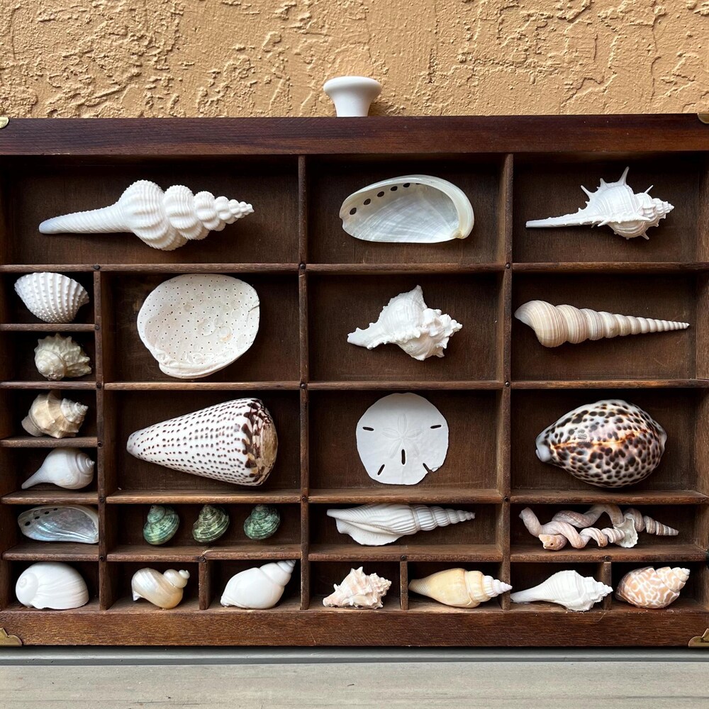 BungalowBeachSisters - Etsy