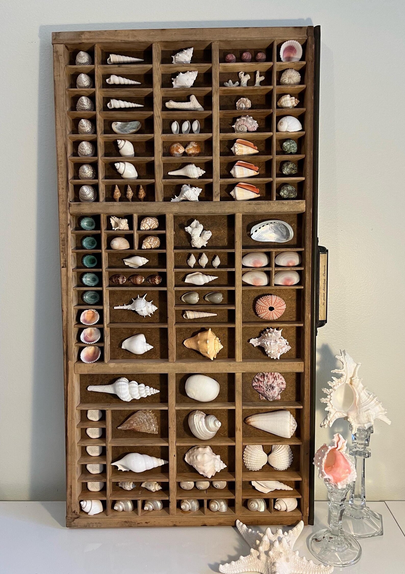 Vintage Printers Tray Pinks Seashell Collection Beach House Treasures ...