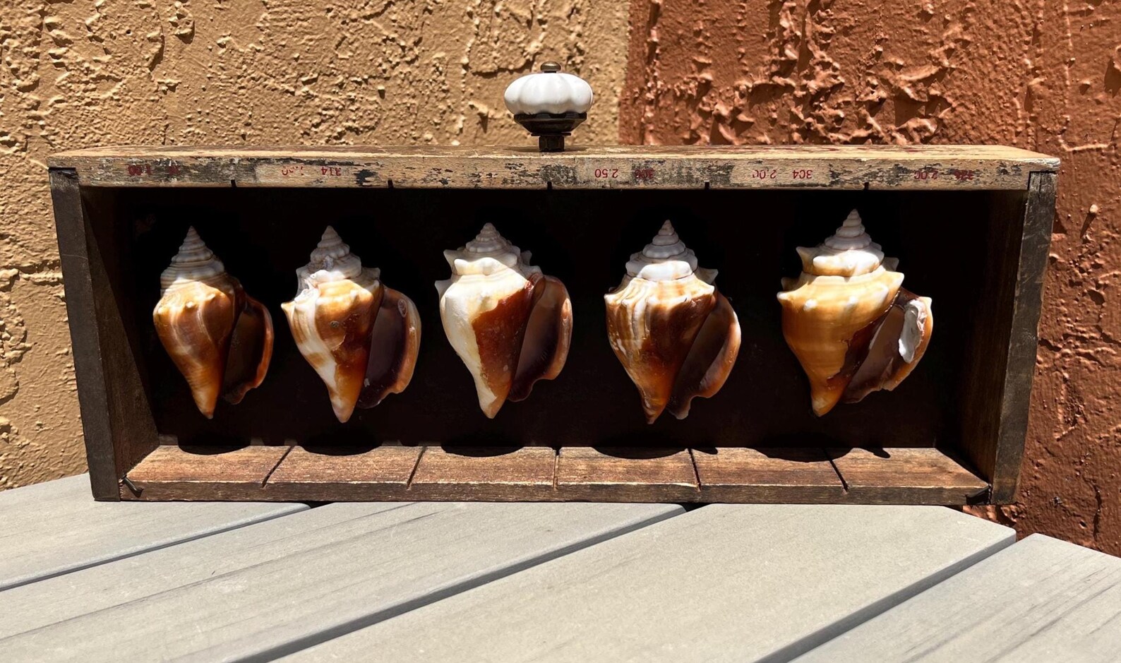 Vintage La Cross Wooden Drawer Fighting Conchs Coastal Display - Etsy
