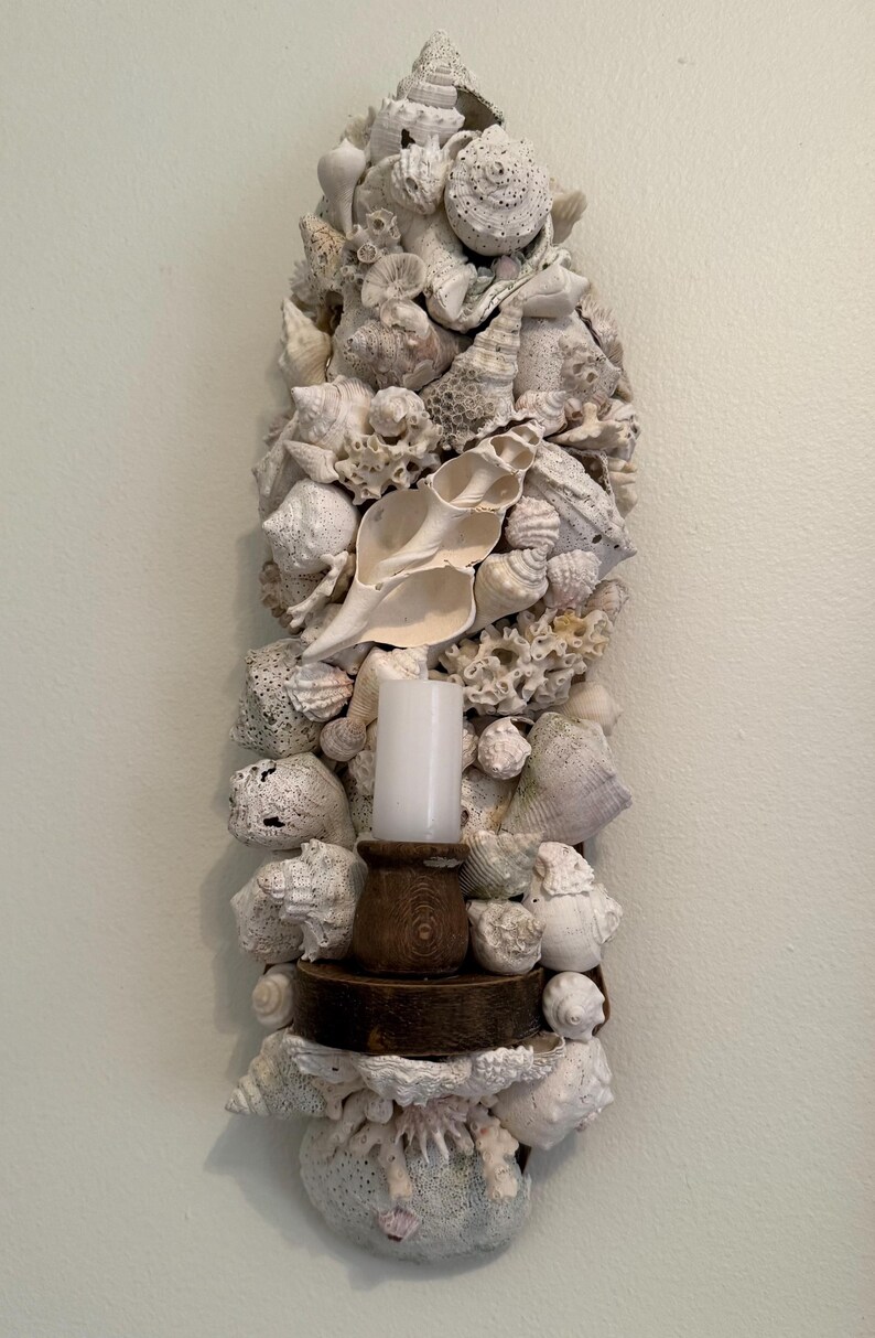 Pompeii Grotto Seashell Coral Candle Sconce Vintage Driftwood - Etsy
