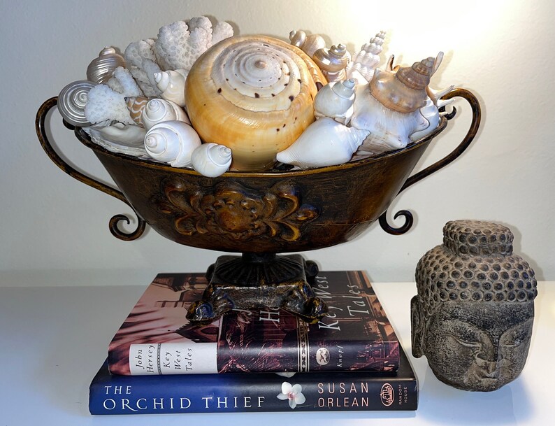 Seashell Embellished Copper Vitrine Tropical Tablescape Centerpiece - Etsy