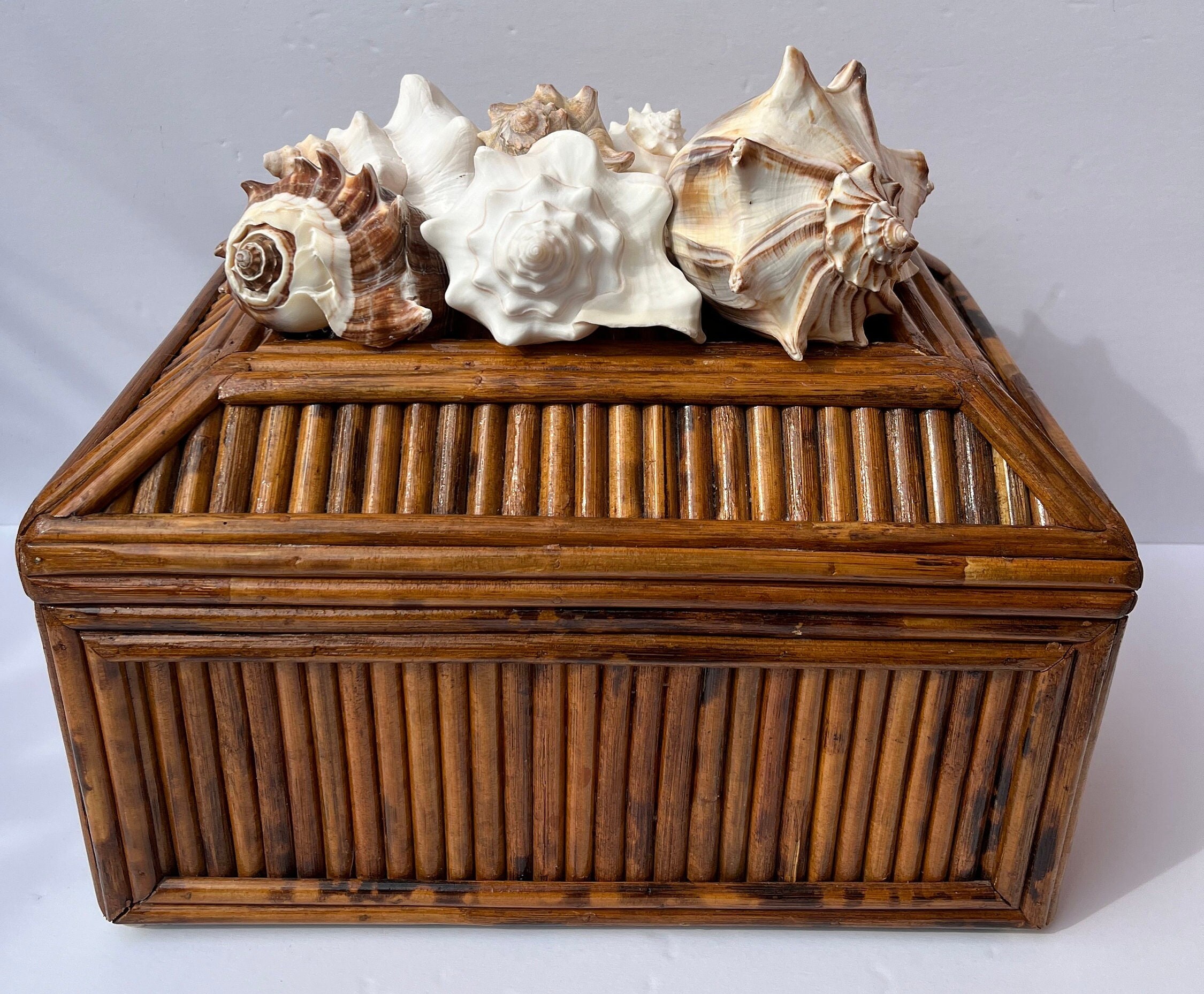 Conch Seashell Embellished Cane Bamboo Box Centerpiece Tropical ...