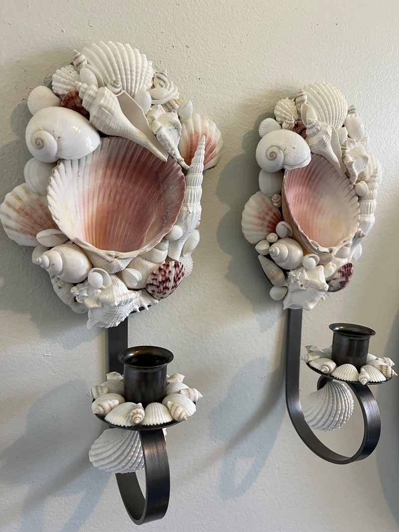 Blush Pink Seashell Decorated Sconces - Etsy
