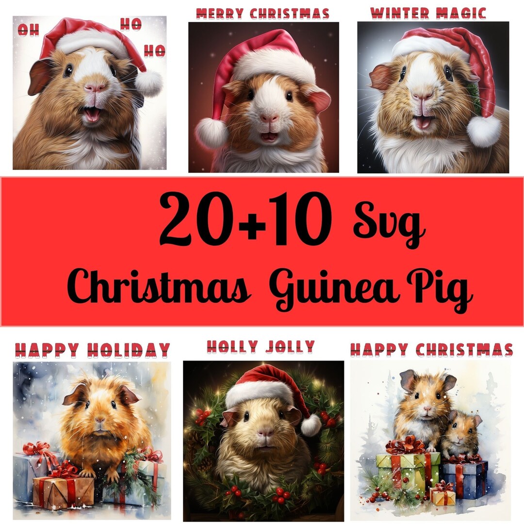 Christmas Guinea Pig Svg Bundle, Christmas Svg, Winte, Merry Christmas ...