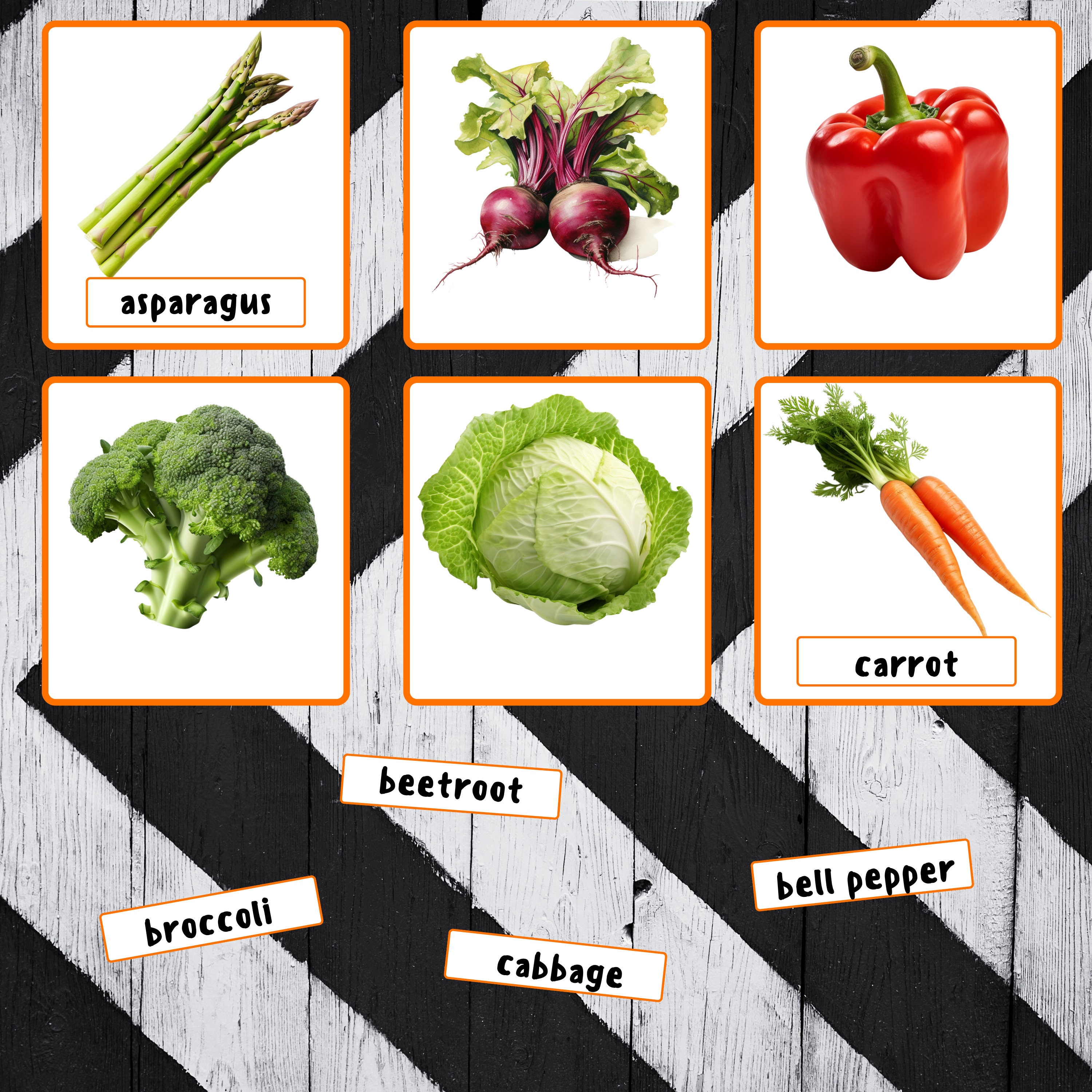 Printable Montessori Flashcards Digital Flashcards Vegetable - Etsy