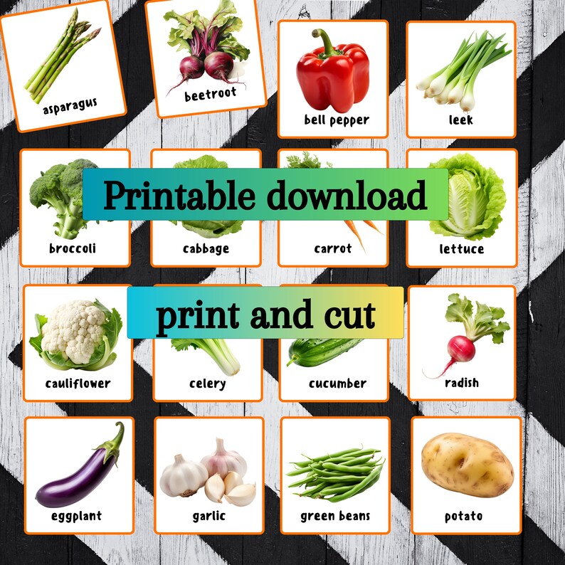 Printable Montessori Flashcards Digital Flashcards Vegetable - Etsy