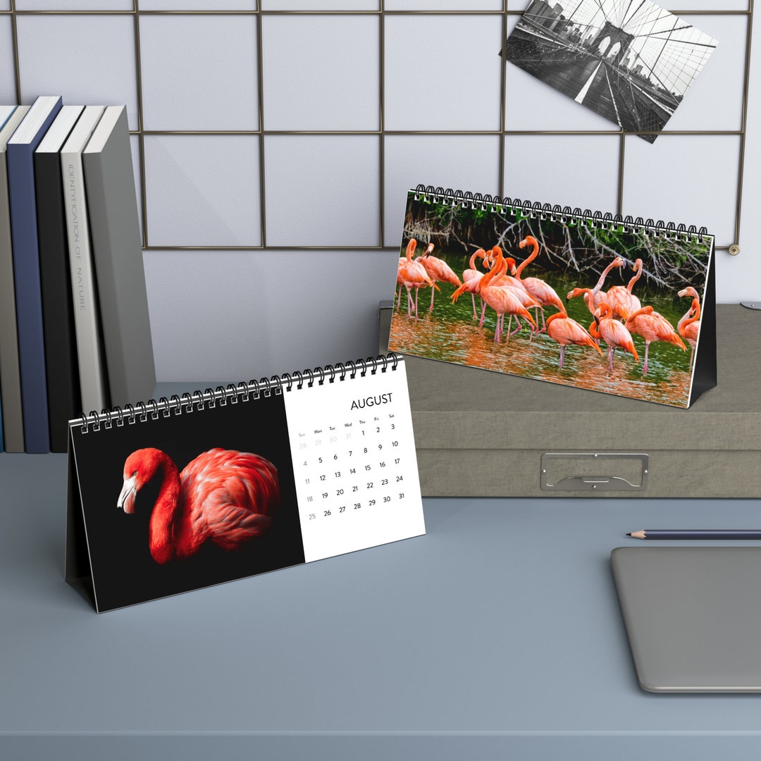 2024 Flamingo Paradise Desk Calendar Monthly Tropical Vibes - Etsy