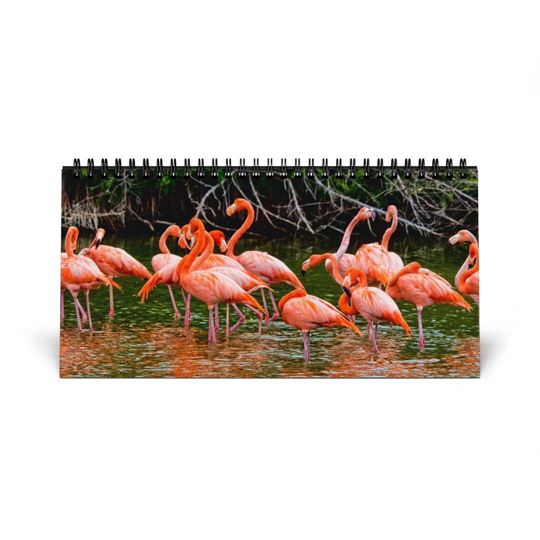 Flamingo Desk Calendar 2026, Colorful Animal Design, 10x5" - Etsy