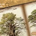 Old Forest Tree Junk Journal Pages Digital Scrapbook Paper Kit Vintage ...