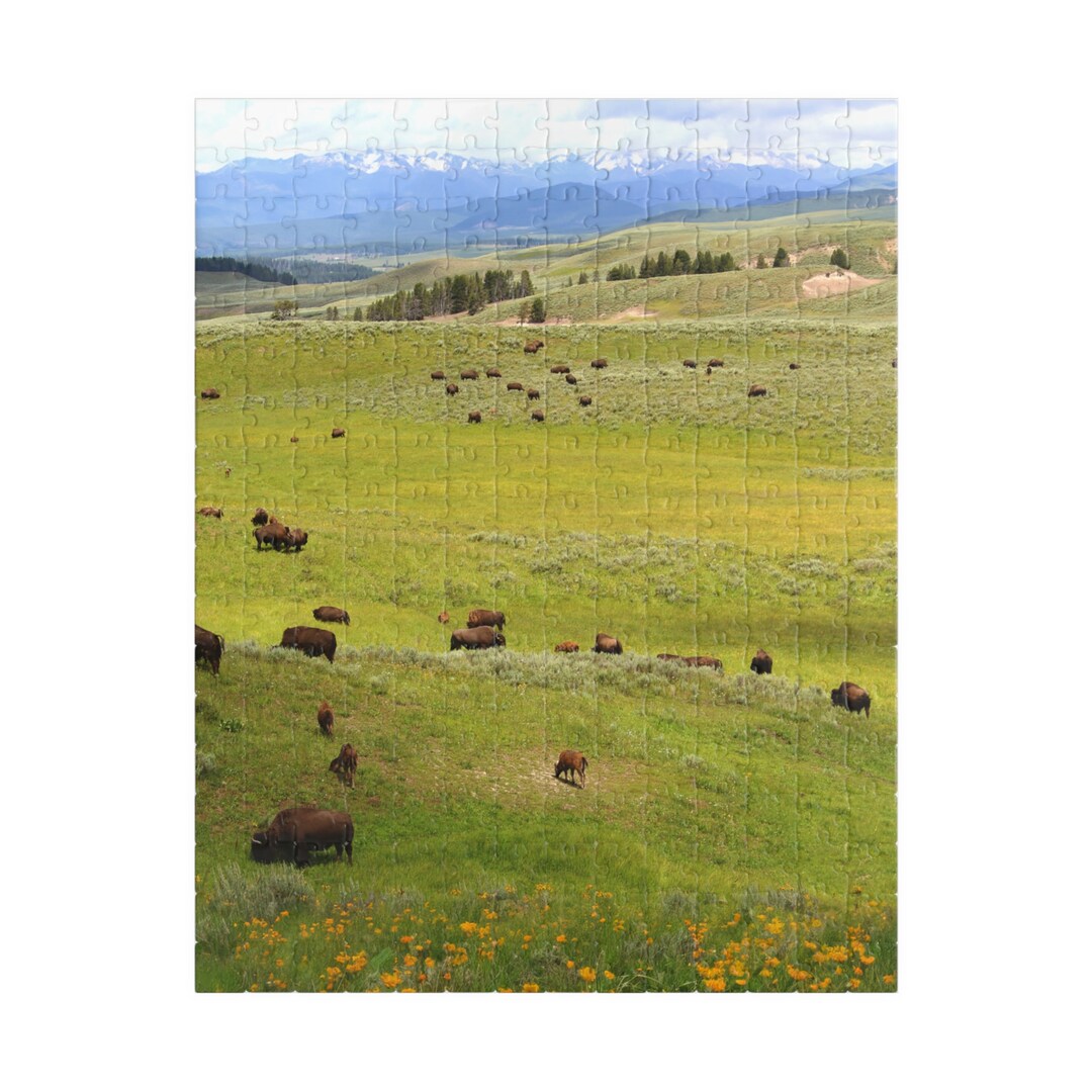 American Bison Jigsaw Puzzle (110, 252, 520, 1014-piece) - Etsy