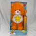 Vintage Care Bears My First Care Bear Soft Plush Share Bear With Rattle ...