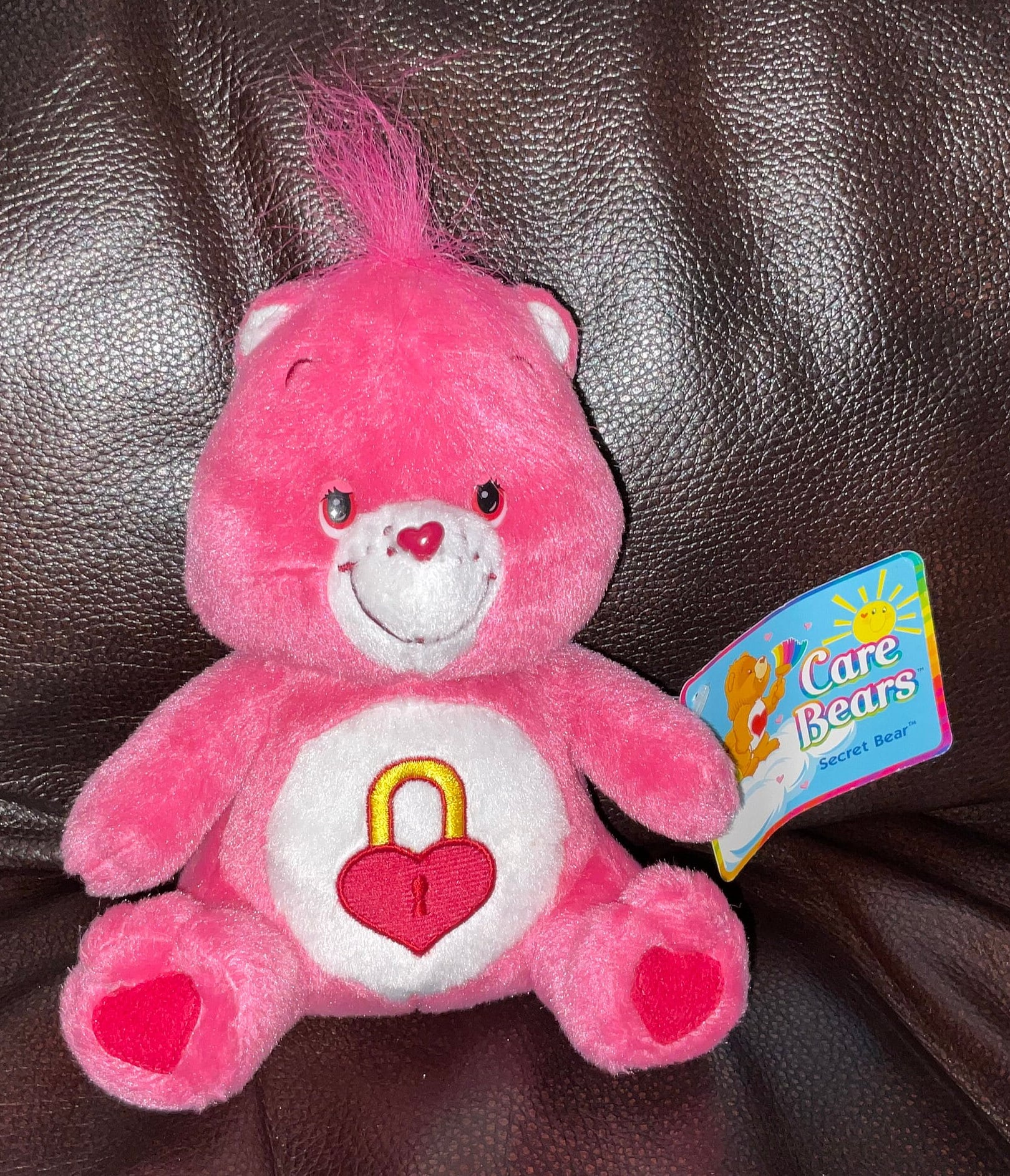 Care Bears Secret Bear
