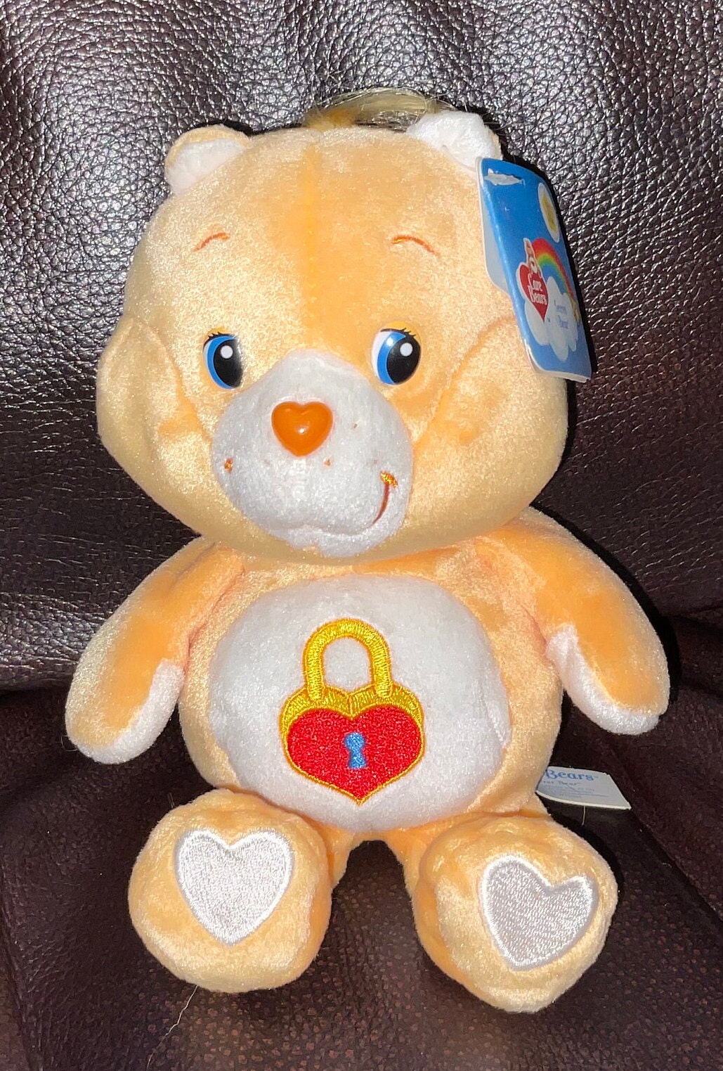 Care Bears Secret Bear Plush