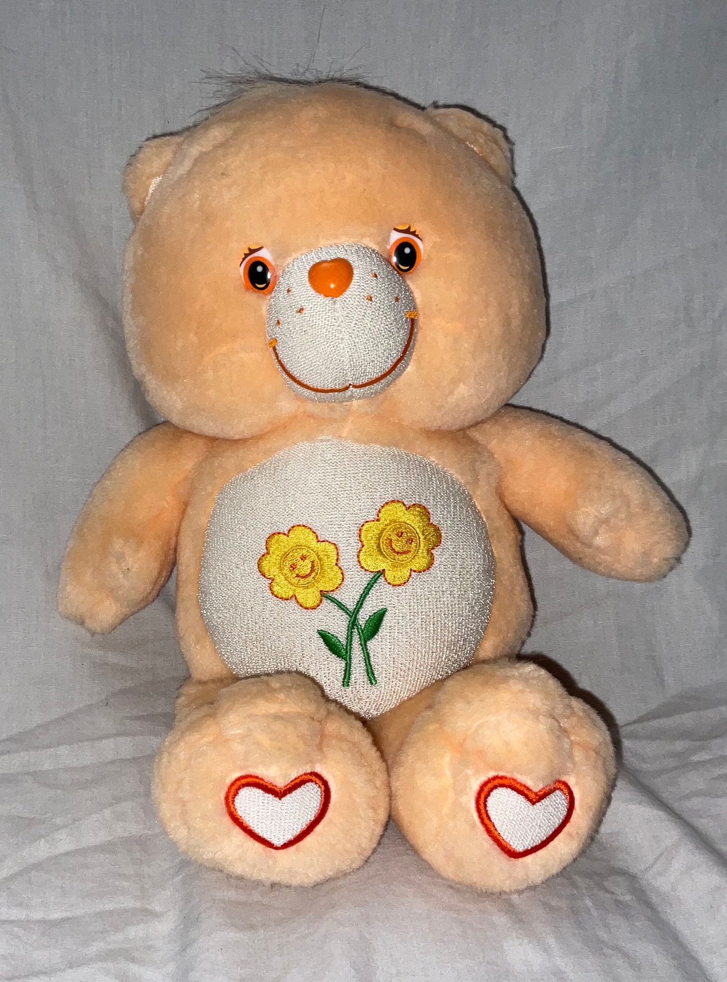 2003 Care Bears Glow A Lot Plush 13 Friend Bear Glows in the Dark - Etsy