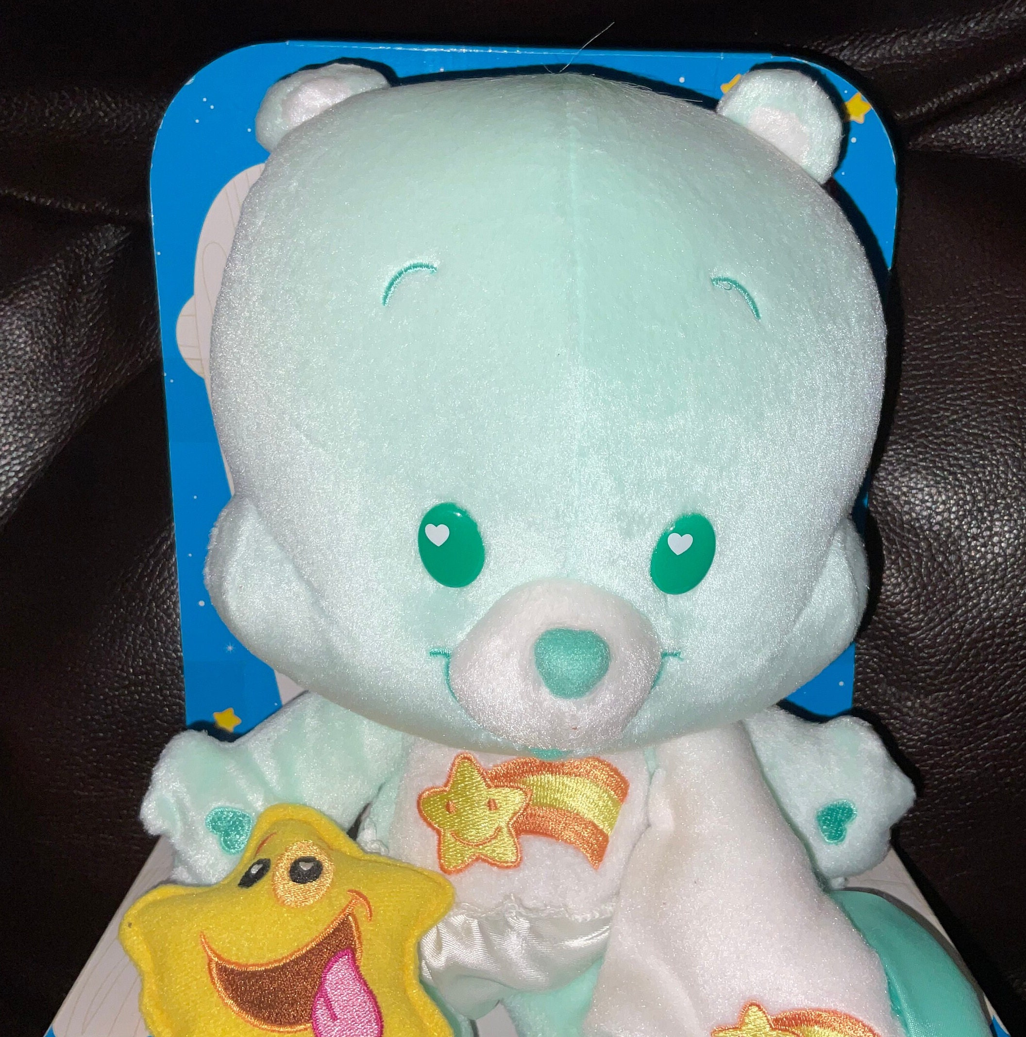 Vintage Care Bear Cubs Plush Wish Cub Bear With Blanket and Star in ...