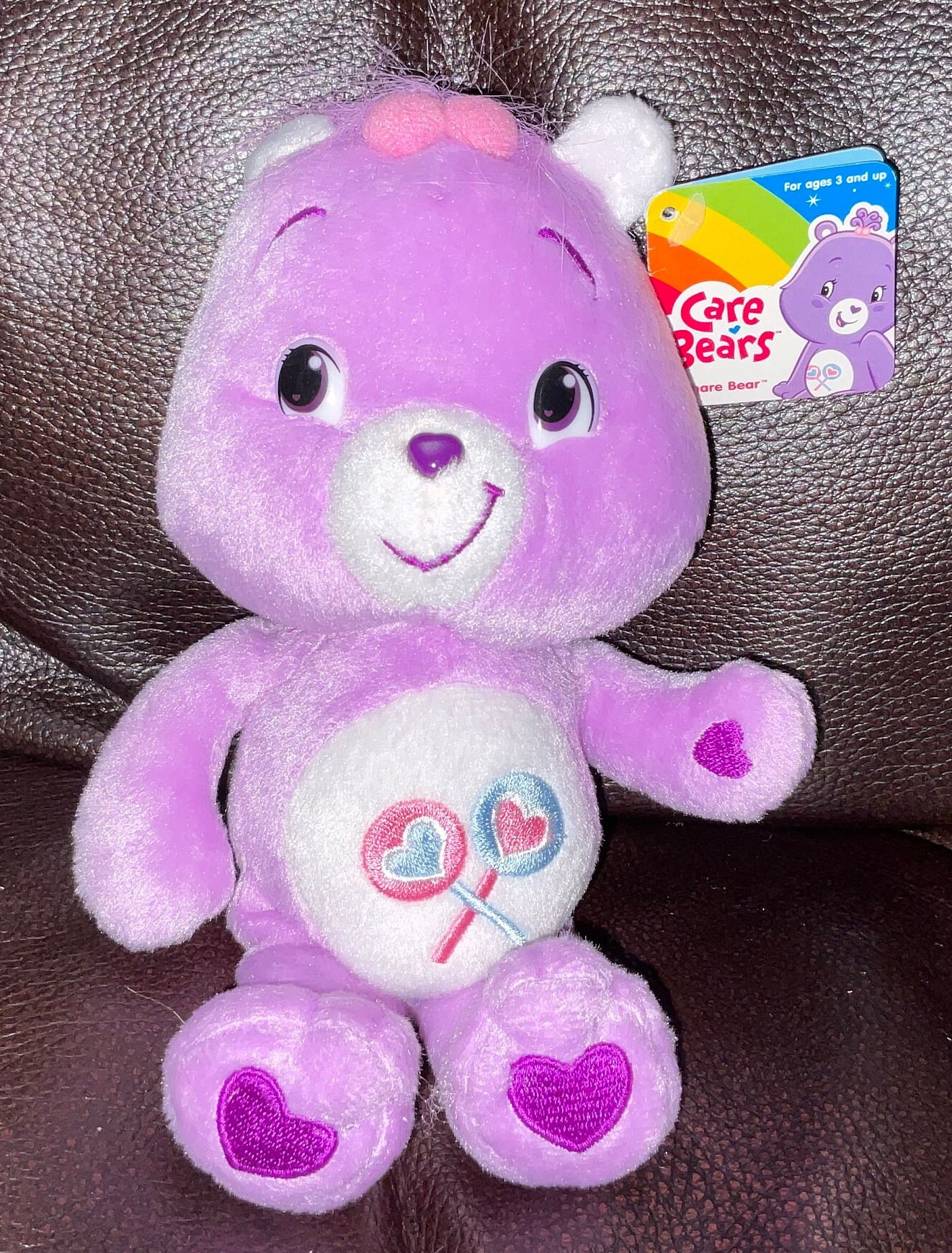 Care Bears Plush Share Bear Bean Bag With Tags - Etsy