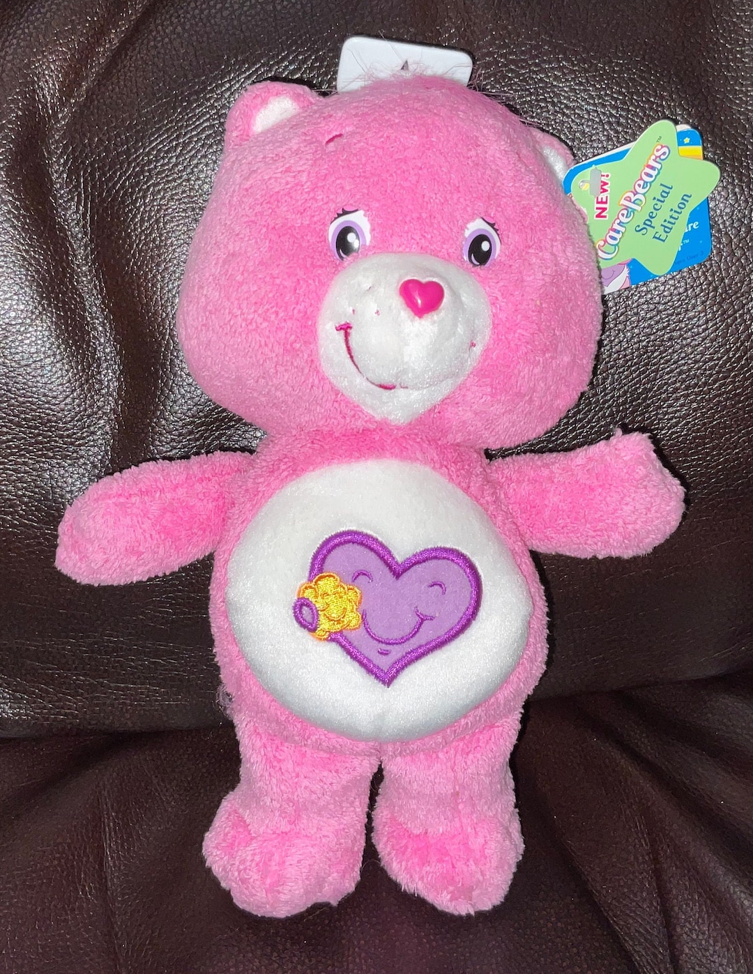 Care Bears Special Edition 10” Plush Fluffy Lil’ Take Care Bear With ...