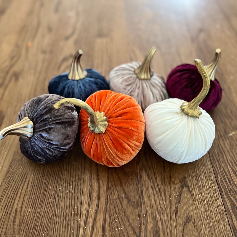 Velvet Pumpkin - Etsy