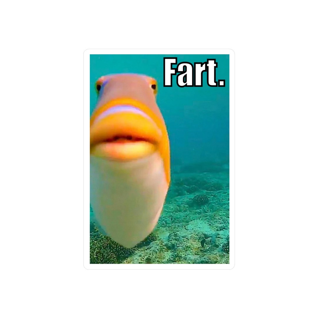 Fish Fart Meme Viny Decal Sticker water, Scratch and UV Resistant - Etsy