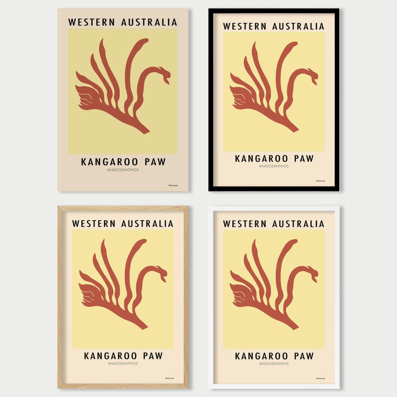 Kangaroo Paw Art Print | Australian Native Flora | Kambarang Noongar ...