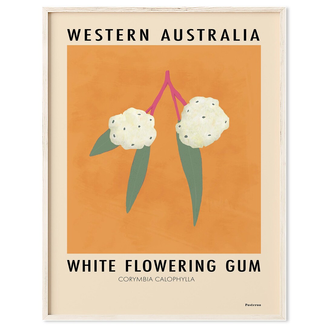 White Gum Tree Art Print | Bunuru Noongar Season | Australian Native ...